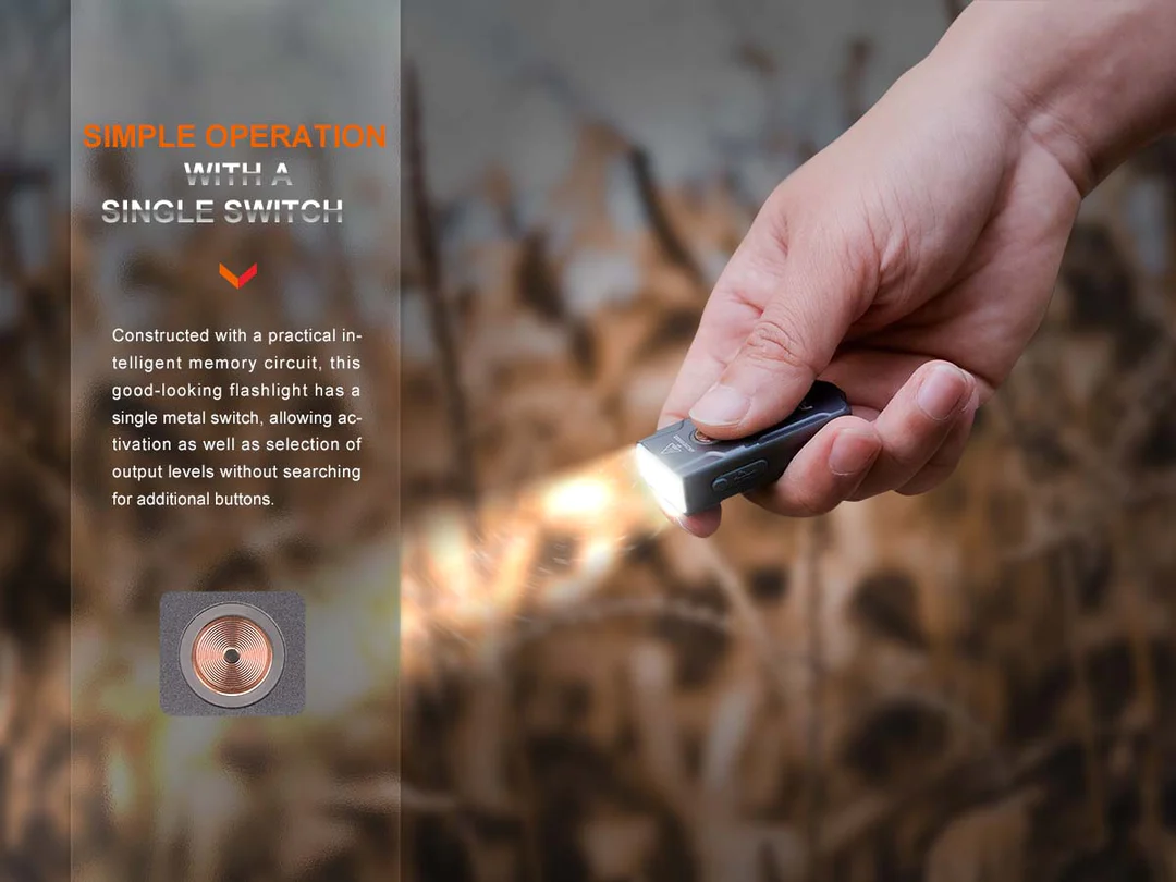Search Button